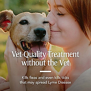 PETARMOR Home and Carpet Spray for Fleas and Ticks, Protect Your Home From Fleas and Eliminate Pet Odor, 16 Ounce