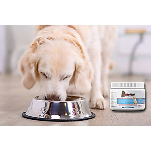 DiarRice Probiotic for Dog Diarrhea, Anti Diarrhea for Dogs, Diarrhea Medicine for Dogs' Bloating, Gas, and Stomach Discomfort. Puppy Probiotics for Diarrhea. Dogs Upset Stomach Relief Medication.