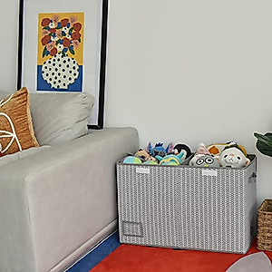 GRANNY SAYS Bundle of 1-Pack Hanging Shelves & 1-Pack Extra Large Storage Bin with Lid