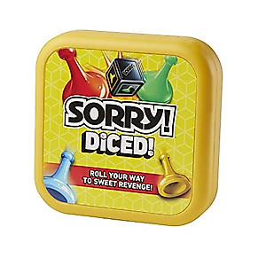 Hasbro Gaming Sorry DICE Game