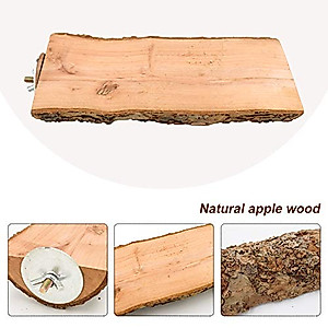 3 Pack Apple Wood Bird Perch for Cage, Natural Wooden Parrot Perch Stand Platform Exercise Climbing Paw Grinding Toy Playground Accessories for Parakeet, Conure, Cockatiel, Budgie, Lovebirds (H01)