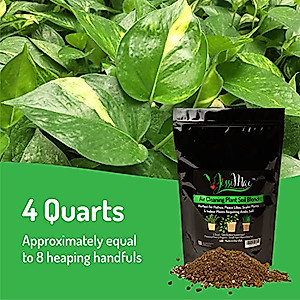 Jessi Mae - Air Cleaning Plant Soil - Acidic Organic pH Balanced Potting Soil - for Peace Lily, Snake Plant, Pothos, Parlor Palm, and Other Indoor Plants - Well-Draining Potting Soil - 4 Quarts