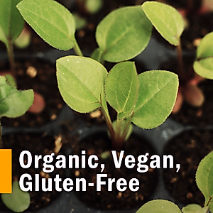 Herb Pharm Certified Organic Stoneroot Blend Liquid Extract for Cardiovascular and Circulatory Support-4 oz