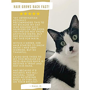 Holistic All-Natural Herb Formula Skin & Coat Support for Dogs & Cats - Aid for Dry, Flaky, Itchy Skin, Hot Spot, Allergies. Provides Anti-Itch, Anti-inflammatory Relief - WellnergyPets Coat Care 60ct