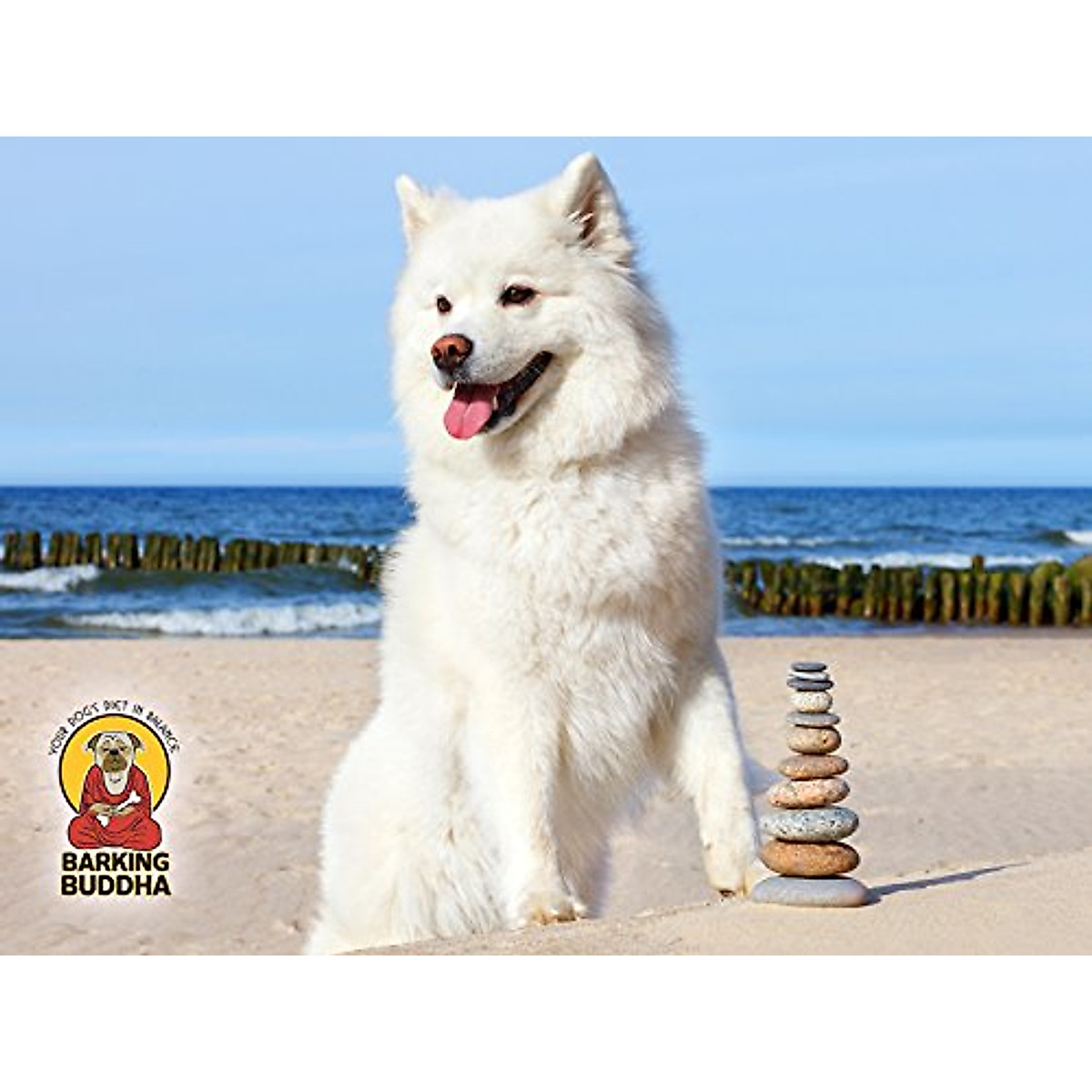 Barking Buddha Original Large Cow Ears for Dogs - Safe All Natural Premium Grade Rawhide Alternative Chews - Individually Wrapped Treats | Natural Beef 20 Pack