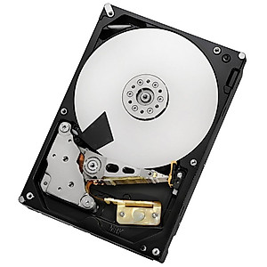 HGST Ultrastar 7K4000 HUS724040ALE641 4TB 64MB Cache 7200RPM SATA III 6.0Gb/s 3.5in Enterprise Internal Hard Drive(Renewed)