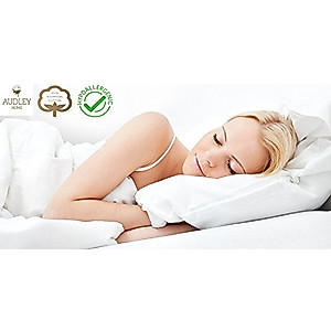 Audley Home 600 Thread Count 100% Egyptian Cotton, 3 Piece Bedsheet Set, 18” Deep Pockets, Smooth & Soft Sateen Weave, Hotel Quality (Light Blue, Twin XL)