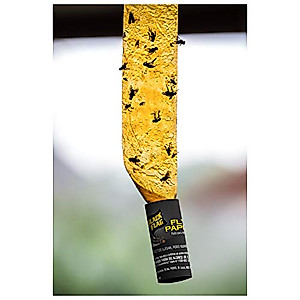 Black Flag Fly Paper, Insect Trap, Ready-to-Use, 4-Count, 24 pack