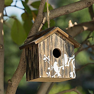 Topadorn Wooden Bird House Hanging Outdoor,Eco Friendly Materials and Decorative with Bird Printed