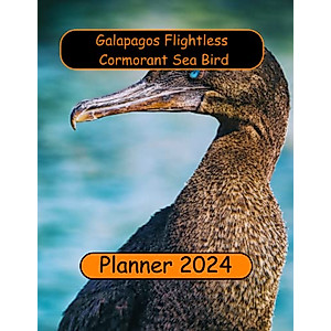 Galapagos Flightless Cormorant Sea Bird Planner 2024