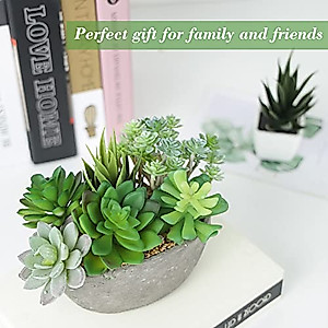 CEWOR 10pcs Artificial Succulent Plants Faux Succulents Unpotted Fake Succulent Plants Premium Crafting DIY Floral Decor for Home Garden Office Party