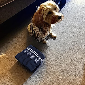 Tnfeeon Dog Leg Brace,4pcs Dog Elbow Protector Cartoon Bear Pattern Protector Warm Knee Pads for Protecting Dog Legs Wounds Injuries Sprains from Arthritis