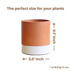 6 inch Self Watering Terracotta Pot with hydrophilic Wick and White Glazed Water Saucer for Indoor Plants, Clay Planter for Orchid, Herbs, and Flowers, Decorative Kitchen Windowsill, home decor