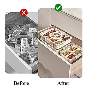 JEESA Divided Serving Tray with Lid and Handle Set of 1 Plastics Snackle Box Charcuterie Tray Portable Divided Serving Platter for Cookies, Veggie, Candy, Fruit, Relish, Meats