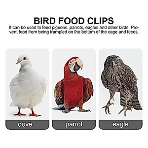 POPETPOP Birds Fruit Vegetable Holder 10pcs Basics Cuttlebone Treat Holder Bird Food Holder Small Animal Fruit Vegetable Holder Food Feed Treating Tool White Pet Bird Feeding Tool