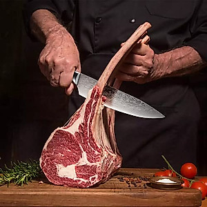 Chef Knief, kitchen knife 8 Inch Professional Durable Paring knife Ultra Sharp Chefs knife Premium Stainless Steel Utility Chopping Cooking knife with Whetstone