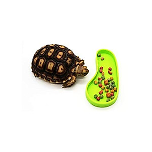 LSTCPGLAI 2 Pieces Tortoise Water Dish Reptile Water Dish Used for Tortoise Corn Snake Crawl Pet Eating and Drinking(Green)
