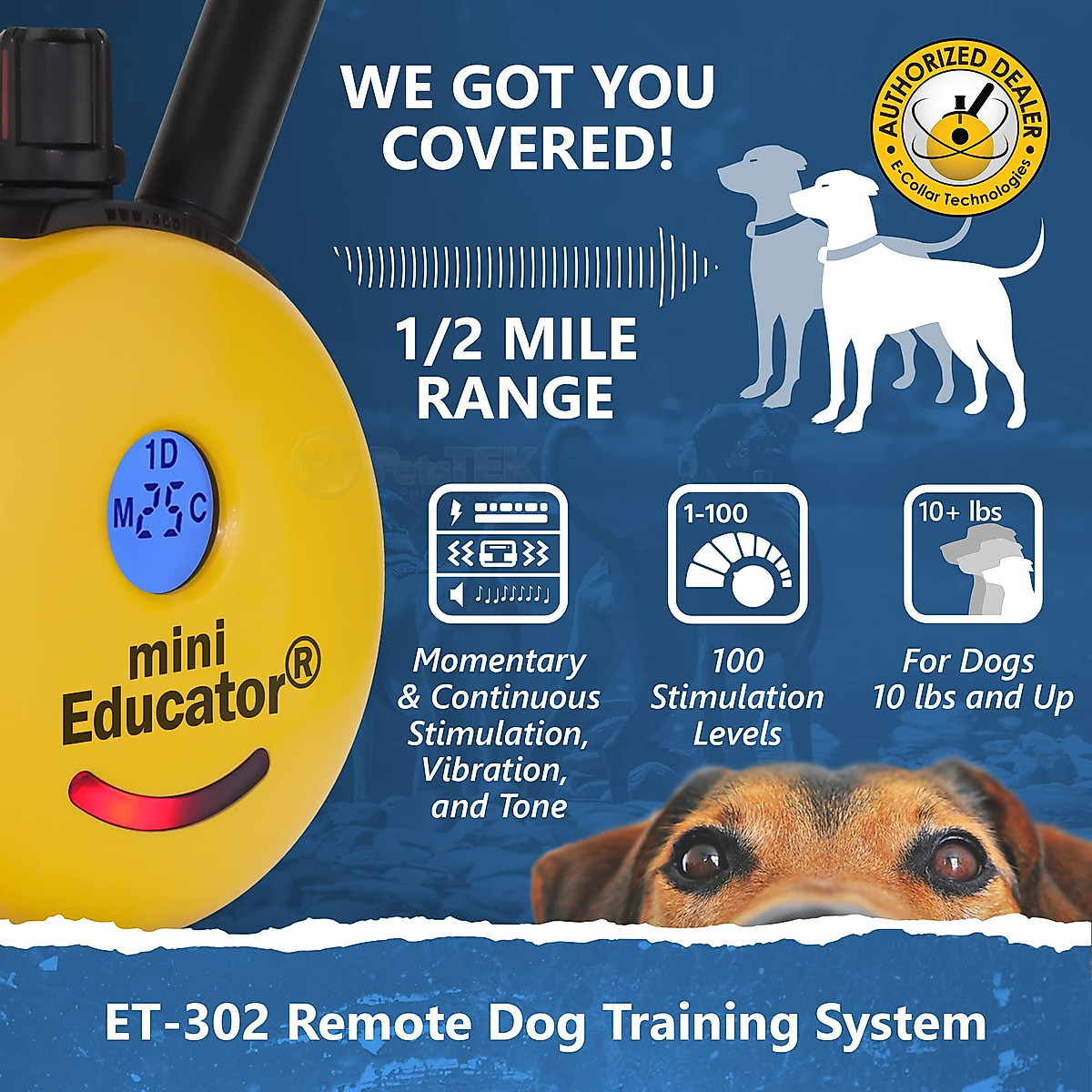 Mini Educator ET-302-1/2 Mile Rechargeable Dog Trainer Ecollar with Remote for Small, Medium, and Large Dogs by E-Collar Technologies - Electric, Vibration, Tone, and Stimulation Collar