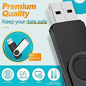 2GB Thumb Drive Bulk Pack of 5 USB 2.0 Flash Drives Value Black Pendrive 2 GB Portable Keychain Zip Drive Metal Memory Stick Multipack Swivel Jump Drive Data Storage as Clients Promotion Item