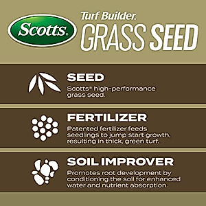 Scotts Turf Builder Grass Seed Southern Gold Mix for Tall Fescue Lawns with Fertilizer and Soil Improver, 2.4 lbs.