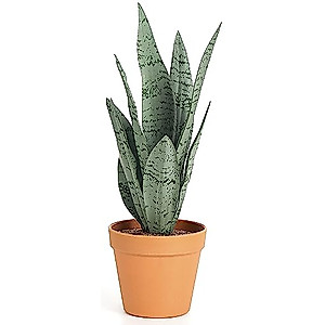 Mkono Artificial Snake Plant 16 Inch Small Fake Sansevieria Tree Potted Plants Faux Desk Plant Indoor Plant Decor in Terracotta Plastic Pot for Table Shelf Bathroom Bedroom Home Office