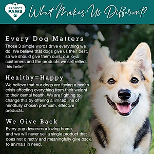 Project Paws Same for Dogs - Liver Support for Dogs with Vitamin B - Cognitive Dog Supplement - S Adenosyl Methionine for Dogs - 60 ct.