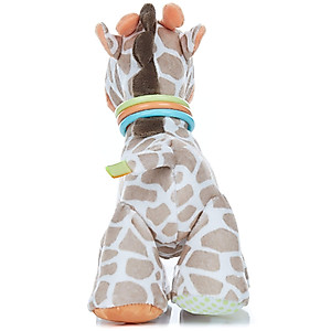 Kids Preferred Carter's Developmental Giraffe Plush