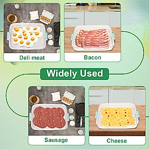Food Storage Containers, Deli Meat Container for Fridge with Tong Cookie Containers with Lids Airtight Dumplings Freezer Containers for Deli Meat, Seafood, Dumplings, Cheese and Cookies (4 layer)