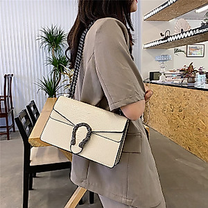 Crossbody Bags for Women Shoulder Hangbag Snake Printed Leather Small Square Satchel Purse Metal Chain Strap Clutch