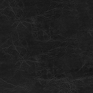 New Pacific Direct Kylo Dining Side Chair, Black/Meridien Gray