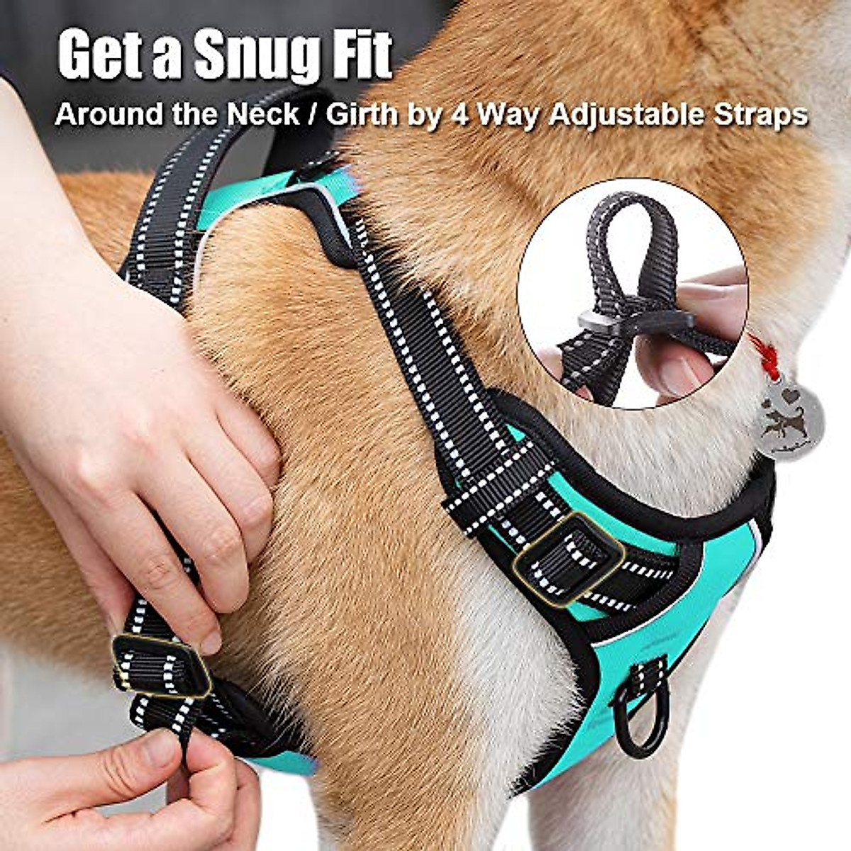 PoyPet No Pull Dog Harness, Reflective Comfortable Vest Harness with Front & Back 2 Leash Attachments and Easy Control Handle Adjustable Soft Padded Pet Vest for Small to Large Dogs (Mint Blue,M)