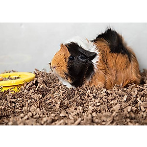 ECO BEDDING Fibercore for Small Pet, 3 lb, Brown