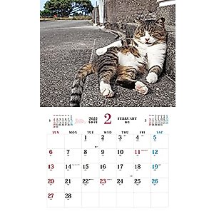 そとねこ (インプレスカレンダー2022)
