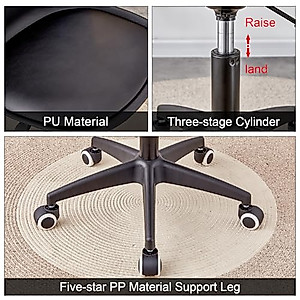 AISYKOD Black Desk Chair, Plastic Home Office Chair, Acrylic Rolling Chair, Swivel Plastic Chairs for Office, Home, Make Up, Small Space, Bed Room, Living Room