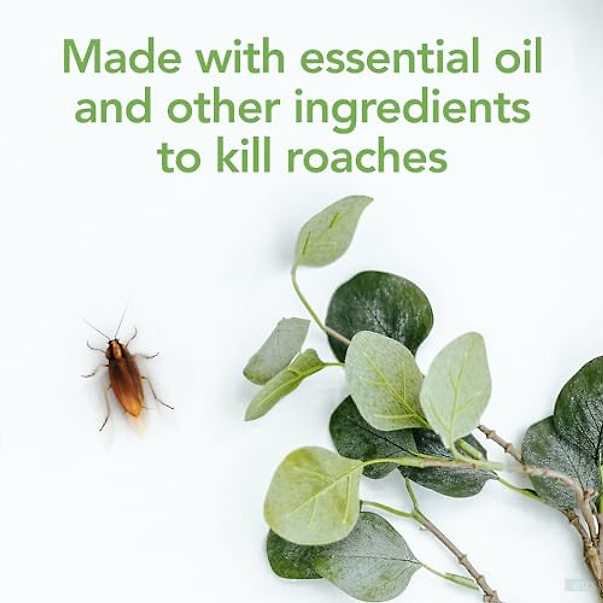 Raid Essentials Ant, Roach & Spider Killer Aerosol Spray, Child & Pest Safe, Kills Insects Quickly, for Indoor Use 10oz