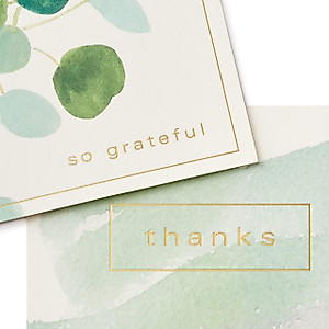 Hallmark Thank You Cards Assortment, Watercolor Greenery (50 Thank You Notes and Envelopes)