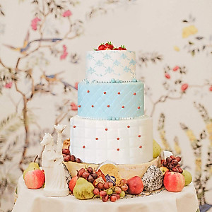 Wedding Cake Stencil Template, Kissbuty 5 Pcs Cake Decorating Embossing Plastic Spray Floral Cake Cookie Fondant Side Baking Mesh Stencil Mat Wedding Decor Tools (Diamond Quilted Grid Texture)