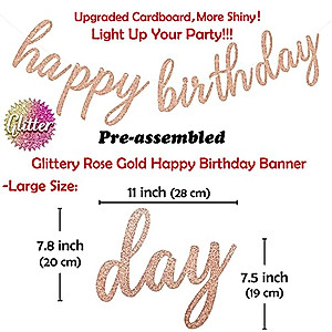 Aonor Rose Gold Birthday Party Decorations - Glittery Rose Gold Happy Birthday Banner and Tissue Paper Tassels Garland for Birthday Decorations
