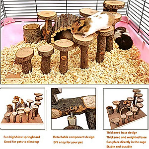 Wooden Hamster Platform Toy Chinchilla Activity Playground Stand Ladder Guinea Pigs Hideout Set Bridge Ramps Chew Toys for Mouse Dwarf Hamster Gerbil Rat Sugar Glider Syrian Hamster Small Animals