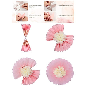 Fonder Mols Tissue Paper Flowers Tissue Pom Poms Blooms Pink for Girl Baby Shower, Nursery Decor, Birthday Decorations (Set of 21, Rose Pink)