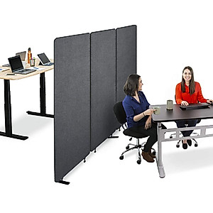 Stand Steady ZipPanels Office Partition | Room Dividers | Three Zip Together Panels Provide Privacy and Reduce Ambient Noise in Workspace, Classroom and Healthcare (Dark Gray)