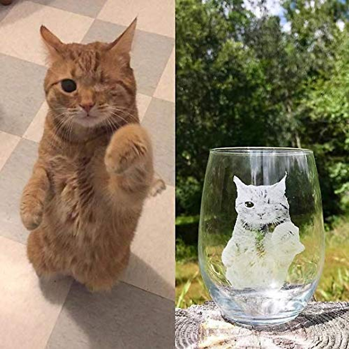 Personalized Pet Engraved Glass, Engraved wine glass, Custom Pet picture, Pet memorial Engraved Glass, Pet picture on glass