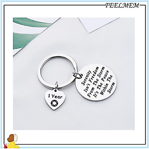 FEELMEM NA Recovery Gift 1 Year 18 Months 2 Years 3 Years NA Sobriety Anniversary Keychain NA Recovery Serenity Prayer Sobriety Gift (1 years)