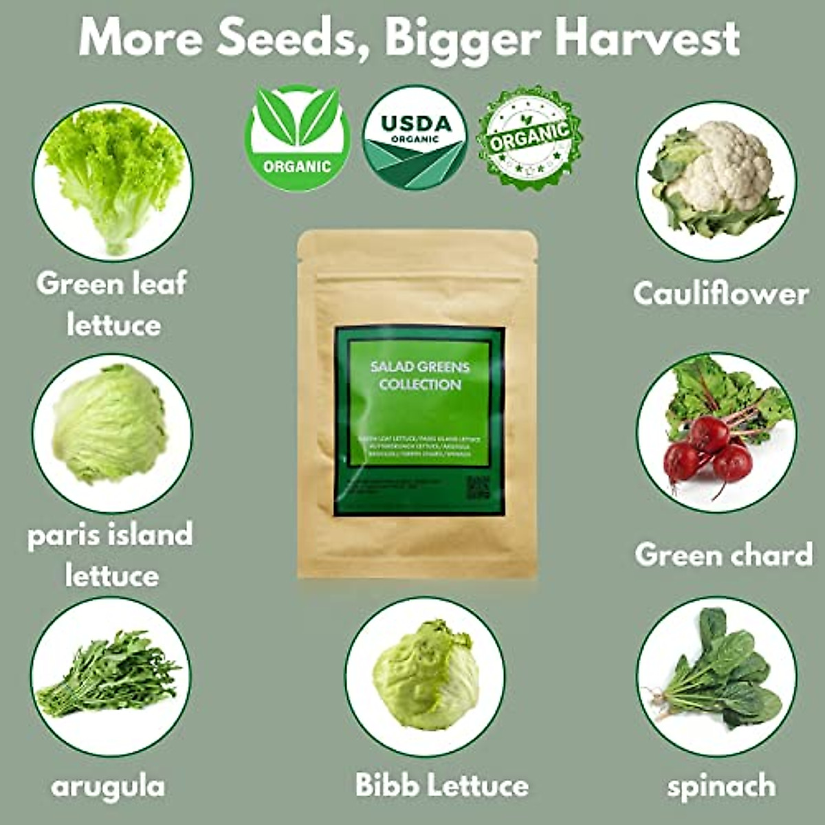 Heirloom Salad Greens Pod with Seed for Aerogarden Harvest, 7-Pods(350 Seeds+, Include Green Leaf Lettuce, Paris Island Lettuce, Buttercrunch Lettuce, Arugula, Broccoli, Green Chard, and Spinach)