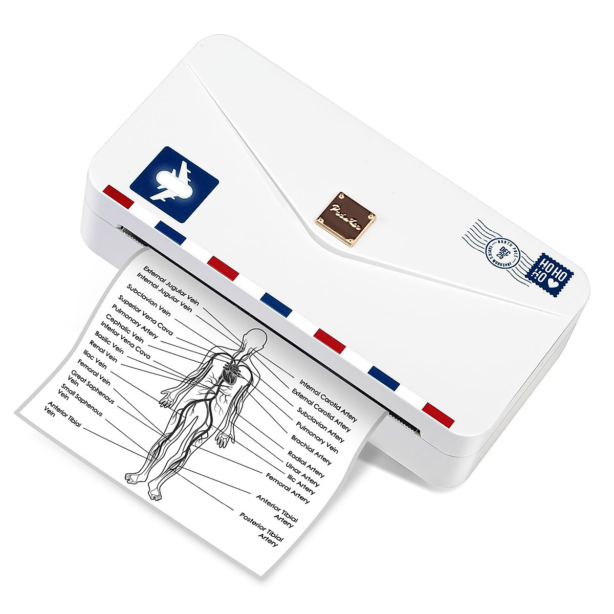 Memoqueen Mini Sticker Printer M04AS Portable Thermal Printer Wireless Bluetooth Printer for iPhone, Support 15/53/80/110mm Paper, Compatible with iOS & Android, Great for Memo, Notes, Photo, Journal