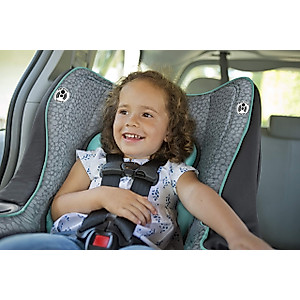 Graco My Ride 65 Convertible Car Seat, Sully