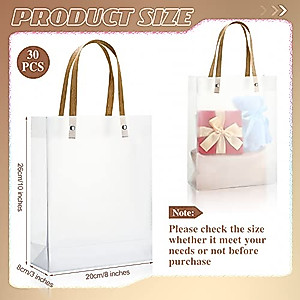 30 Pcs Clear Gift Bags with Handles, White Frosted Plastic Bags, Clear Reusable Bags for Gifts Party Favors, Transparent Tote Boutique Bags Gift Wrap Bags for Wedding, Retail, 10 x 8 x 3 Inch