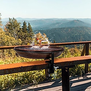 DREAMSOUL Deck Mounted Bird Bath Metal Birdbath Bowl Unheated with Lightweight Detachable, Bird Baths with Adjustable Sturdy Steel Clamp for Deck Railing Balcony Yard Outdoors Garden Decoration