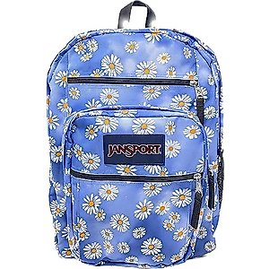 JanSport Big Backpack - Work, Travel or Laptop, Adult Unisex (Daisy Haze, One Size)