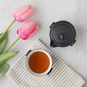 HEER Chinese Travel Gaiwan Tea Set for One, Ceramic Small Kungfu Teapot with Teacup for Adults, Japanese Style Tea Accessories for Tea Lovers.